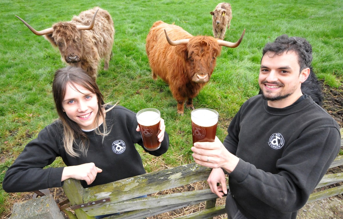 Festive gingerbread beer launches new tasting room – The Crafty Beeress